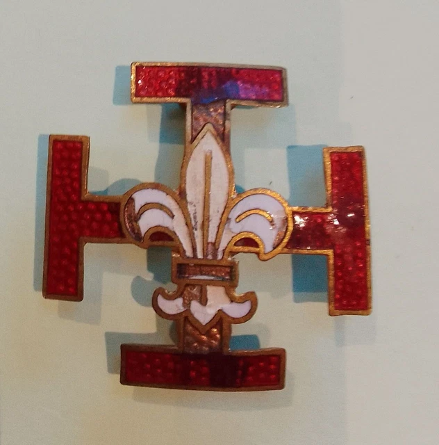 INSIGNE ÉMAILLÉ / Scoutisme / Brevet Badge Scouts EUR 10,00 - PicClick FR