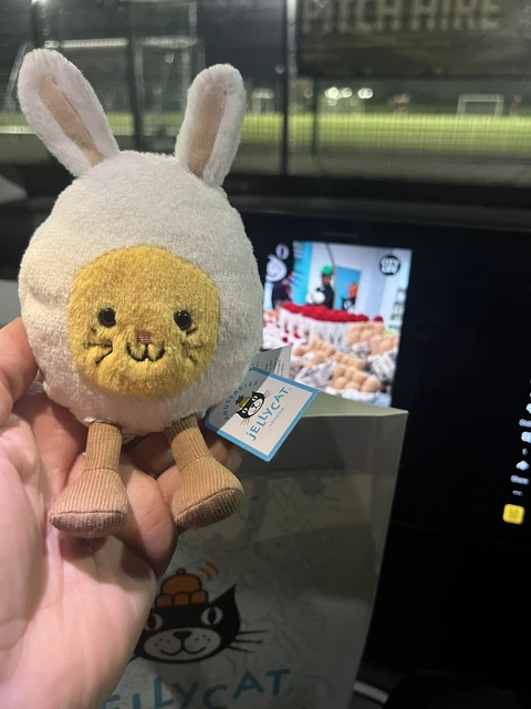 JELLYCAT AMUSEABLES BUNNY Egg Brand New With Tags £26.70 - PicClick UK