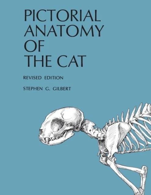 PICTORIAL ANATOMY OF the Cat - Gilbert, Stephen G. - paperback ...