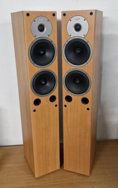 GALE 30 SERIES 3040 Floor Standing Speakers 4-8 ohm 15-100 watts ...