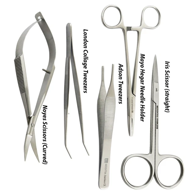 MÉDICAL ANATOMIE DISSECTION Set Chirurgical Forceps, Ciseaux, Biology ...