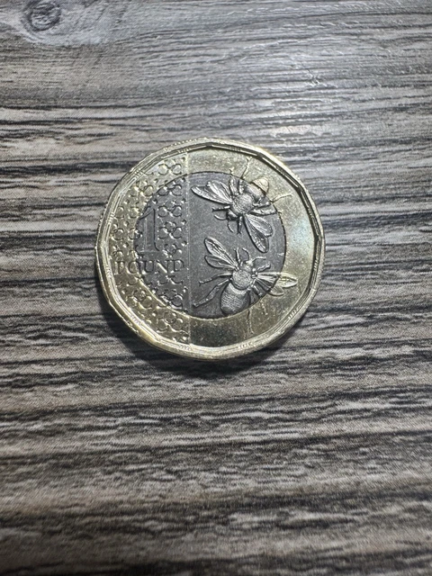 KING CHARLES BEES 2025 £1 One Pound Coin Rare £924.70 - PicClick UK