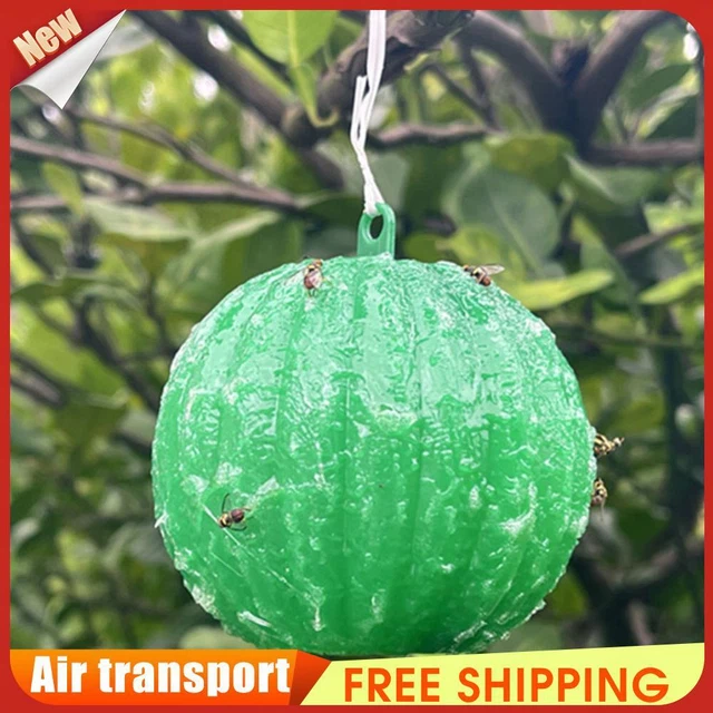 STICKY FRUIT FLY Trap Balls Flying Insects Traps Balls Ball Fruit Fly ...