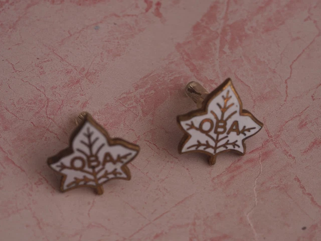 VINTAGE RARE RAOB Overseas The Royal Antediluvian Order of Buffaloes ...