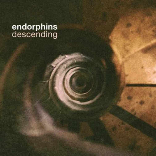 ENDORPHINS DESCENDING (CD) Album (Jewel Case) EUR 22,29 - PicClick FR