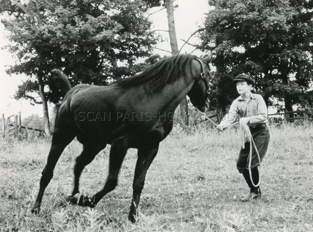 KELLY RENO THE Black Stallion 1979 Vintage Photo Original #1 EUR 24,99 ...