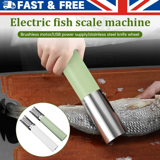 FISH SKIN BRUSH Scraping Fishing Scale Grater Remover Peeler Scaler ...