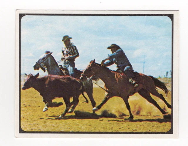 SANITARIUM NEW ZEALAND Sports Card. Rodeo $4.99 - PicClick AU