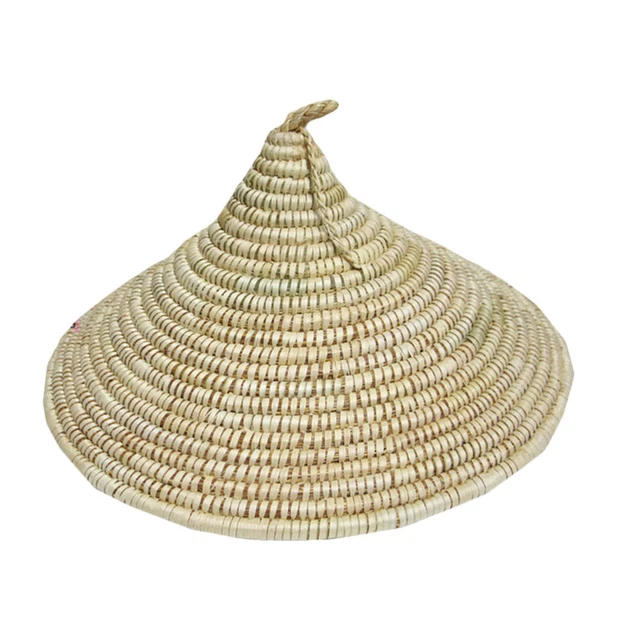 CHAPEAU CONIQUE CHAPEAUX De Riziculteur Couvercle Pot Paille EUR 21,68 ...