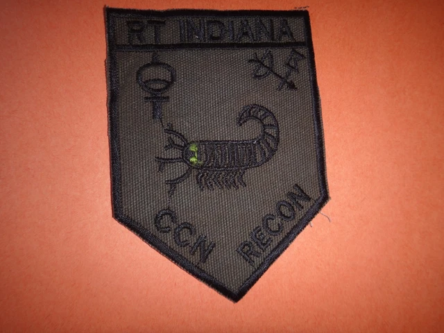VIETNAM WAR SUBDUED Patch US 5th SFG MACV-SOG RT INDIANA CCN RECON £9. ...