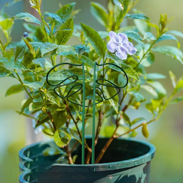 MONSTERA SHAPED PLANT Support Ring,Plant Support Stake,Sturdy Metal ...