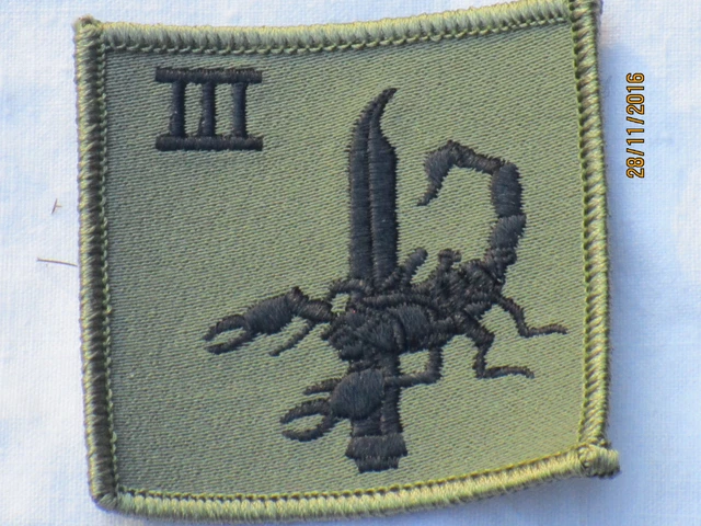 RAF RÉGIMENT, 3RD Squadron, Royal Air Force, Armée De L'Air, TRF, Patch ...