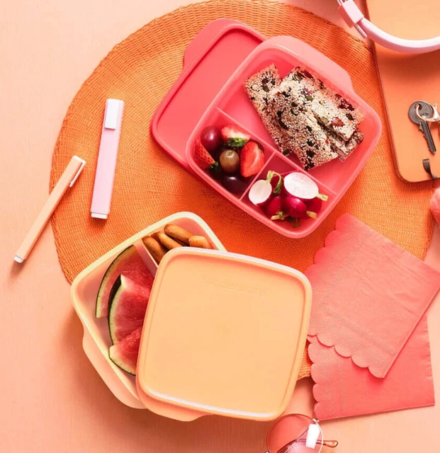 NEW TUPPERWARE LUNCH It Divided Eco Containers / Bento Boxes Set of 2 w ...