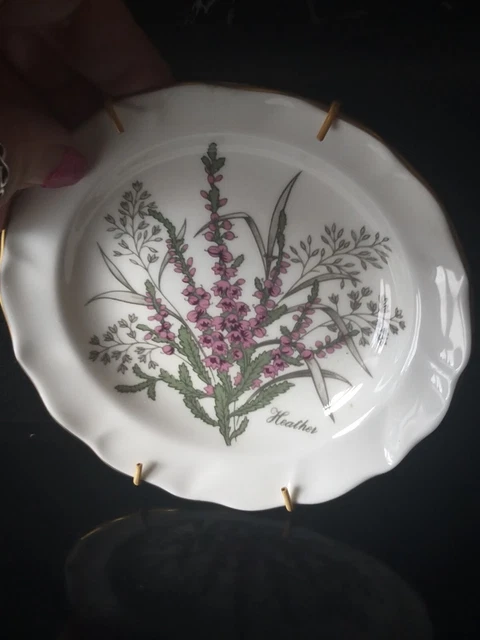 FINE BONE CHINA Collectable Plate St Andrew Pottery Flowers Of Scotland ...