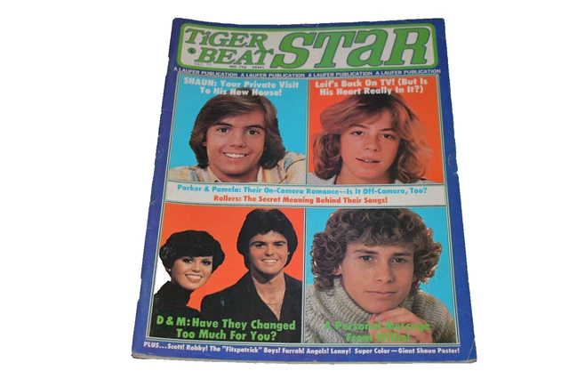 RARE TIGER BEAT Star Teen Magazine Dec 1977 Shaun Cassidy, Leif Garrett ...