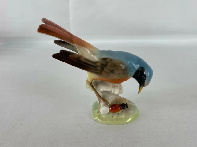PORZELLAN VOGEL HUTSCHENREUTHER Selb Karl Tutter Blaumeise mit Maikäfer Alt Ast EUR 80,00 ...