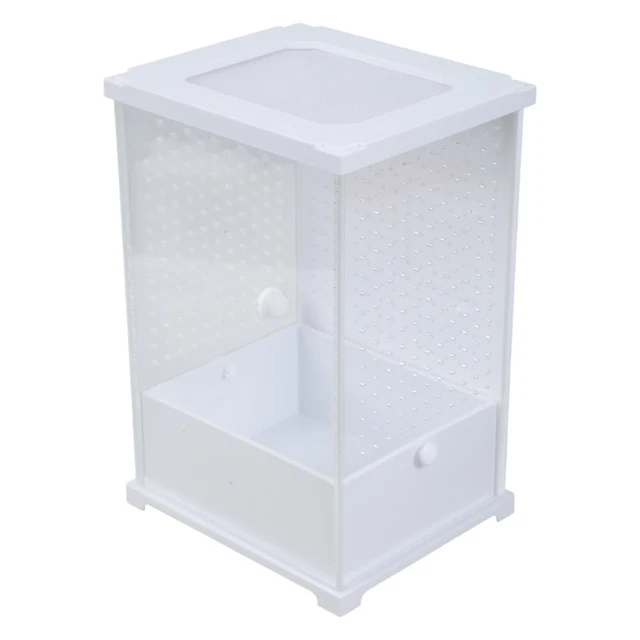 CLEAR FEEDING BOX Hatching Container with Lid Spider Scorpion- Geckos ...