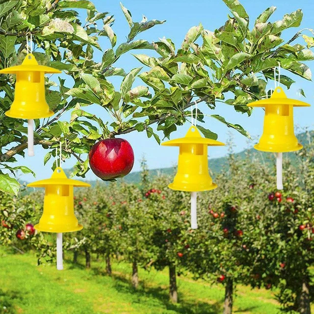 REUSABLE FRUIT FLY Trap Killer Yellow Cage Drosophila Catcher Fly UK ...