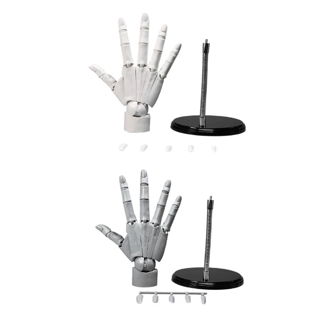 FLEXIBLE HAND MODEL Joints Moveable Model for Drawing Displaying ...