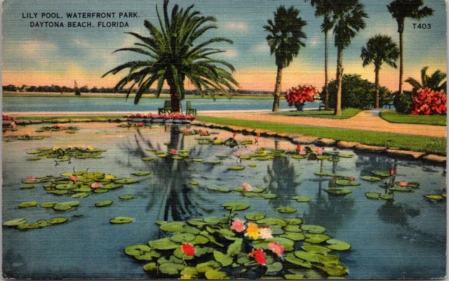 LINEN POSTCARD LILLY Pool At Waterfront Park Daytona Beach Florida FL ...