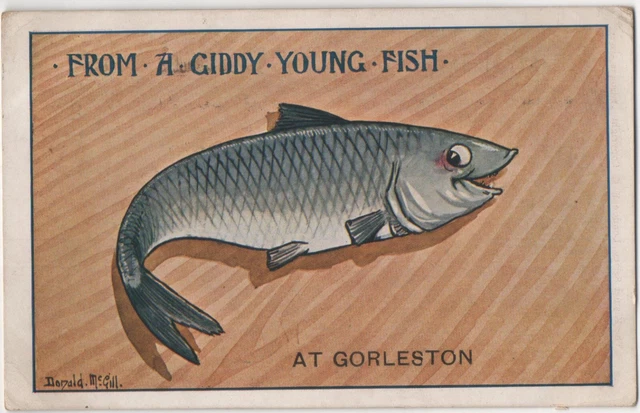 SCARCE DONALD McGill Comic Postcard From A Giddy Young Fish at ...