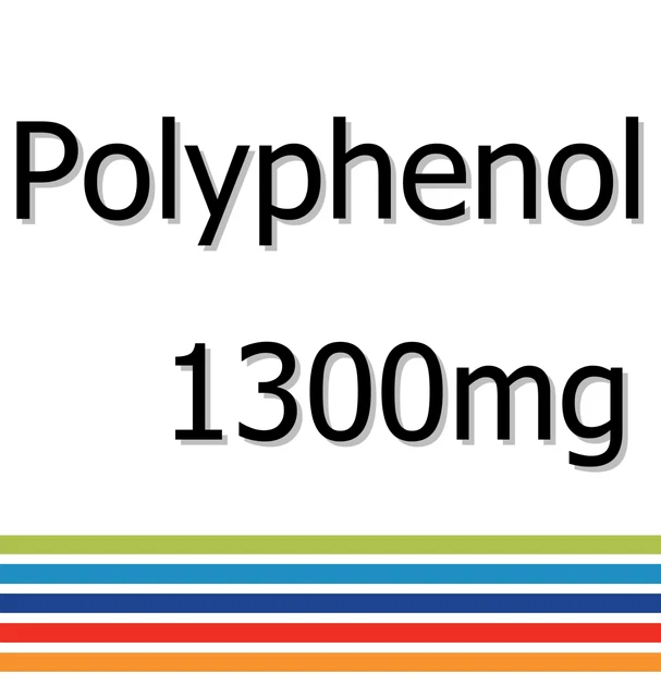 POLYPHENOL 1300MG X 500 Tablets - Digestive issues relief £21.52 ...