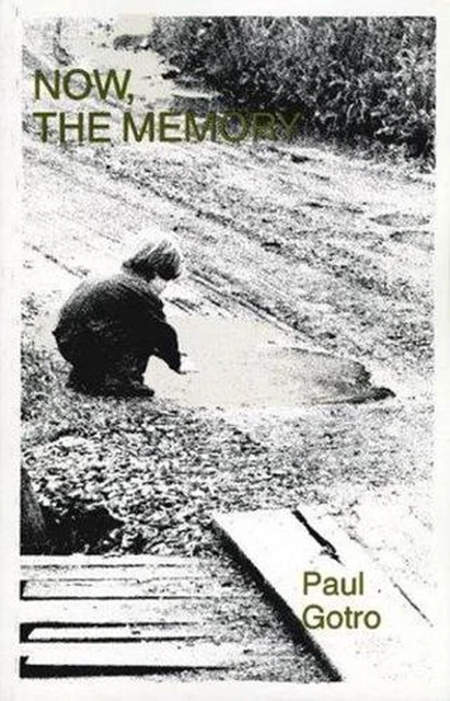 NOW, THE MEMORY by Paul Gotro (English) Paperback Book EUR 14,42 ...