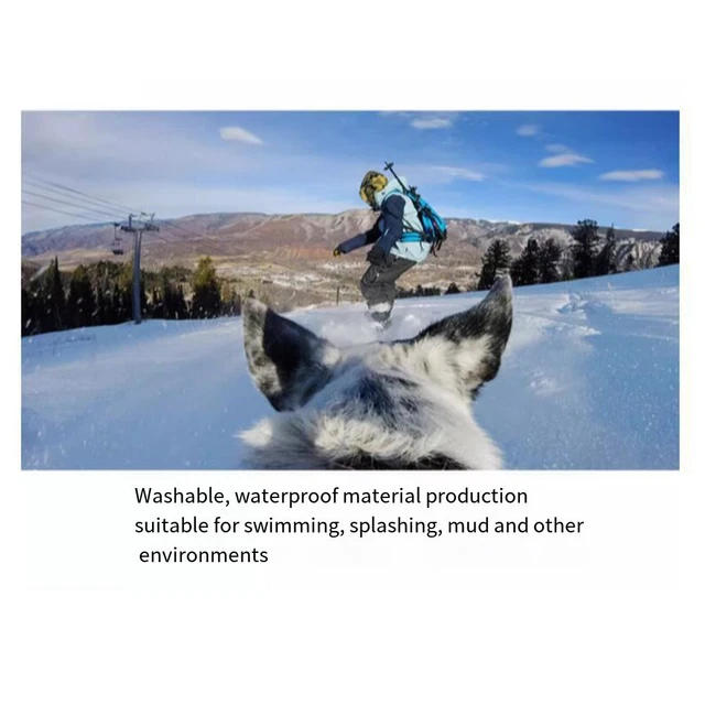 DOG HARNESS WITH Camera Mount for Capturing Memorable Moments Outdoors ...