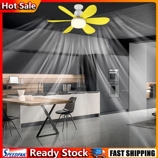 2 IN 1 Ceiling Fans with LED Lights Timing for Patio Coffee Shops ...