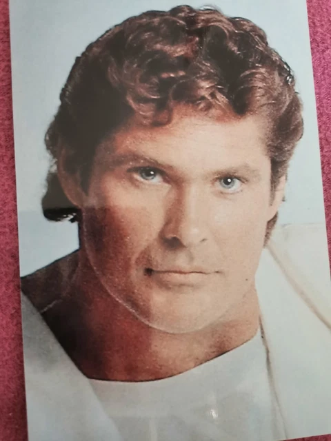 DAVID HASSELHOFF BAYWATCH Knight Rider Foto Photo 10x15cm EUR 85,00 ...