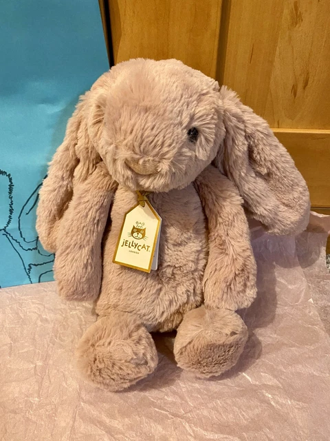 BRAND NEW WITH Tags! Sold Out, Rare Genuine Jellycat Bashful Luxe Bunny Rosa Med £52.00 ...