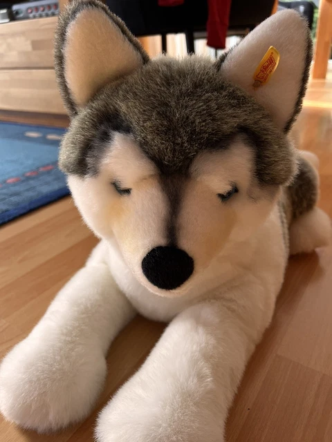 STEIFF BERNIE HUSKY 60 cm Nr 104961 EUR 89,00 - PicClick DE