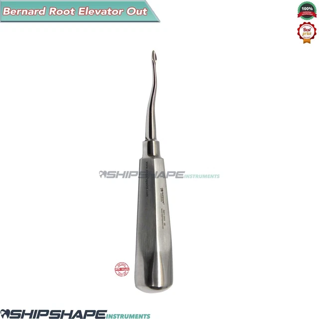 SURGICAL BERNARD/SPADE ELEVATOR Out Periodontal Ligament Dental ...