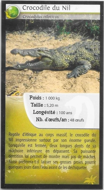 CARTE QUICK - Reptiles - Crocodile du Nil EUR 1,50 - PicClick FR