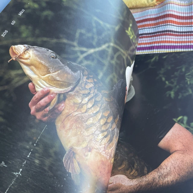 SUBSURFACE JOURNAL - Sub Mag Volume 4 Winter 2025 Carp Fishing Magazine ...