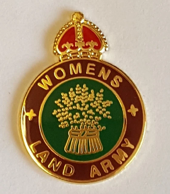WOMENS LAND ARMY Lapel Badge £5.50 - PicClick UK