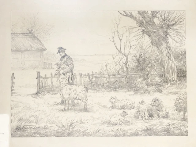 BERGER SCHAFE MOUTON Shepherd Sheep Hermann Charpentier Dessin Drawing ...