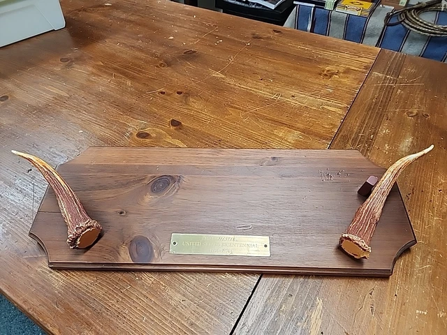 1976 WINCHESTER LEVER Action Single Rifle Gun Rack Mount Display Wood ...