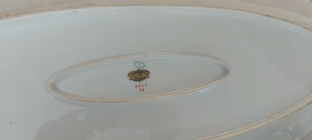 SERVIZIO PIATTI DA11 Da Tavola Porcellana Pesce Richard Ginori Pittoria ...