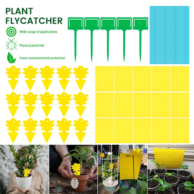 PLANT FLY CATCHER Sticky Insect Traps Glue Board Killer Plant ...