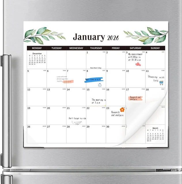 2026 MAGNETIC CALENDAR for Fridge Fridge Calendar from Jan 2026 to Jun ...