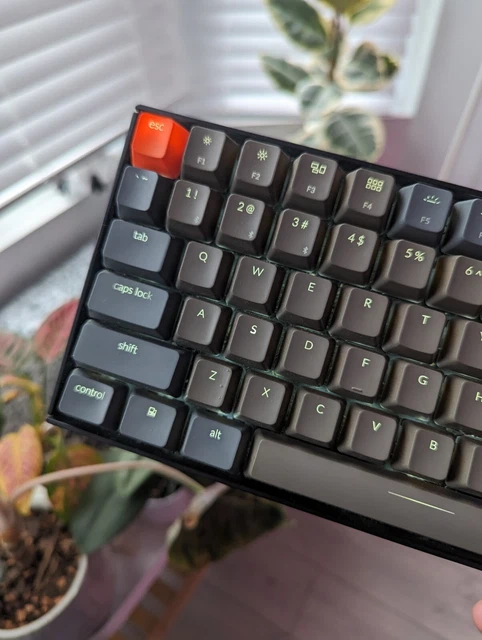 KEYCHRON K4 V1 - While Backlight - LK Optical Brown Switches - US ...