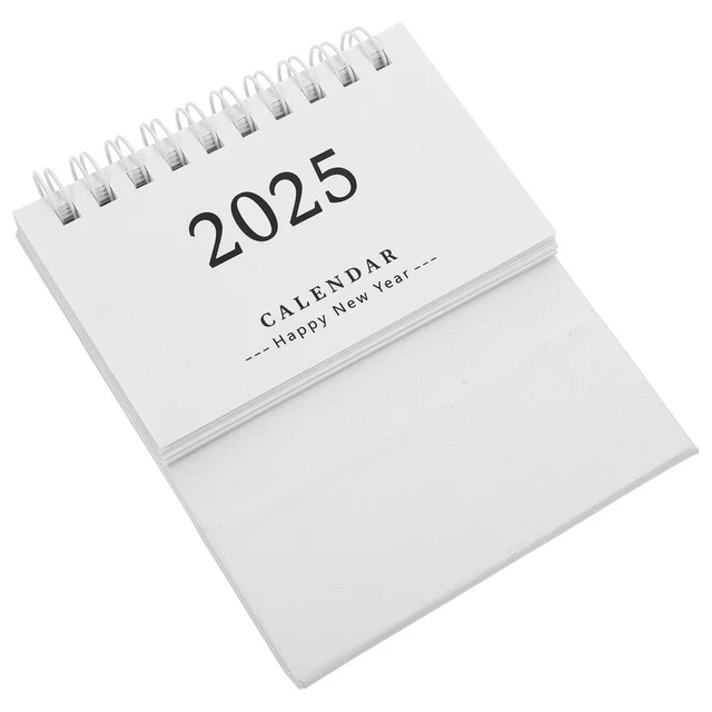 DAILY SCHEDULE CALENDAR 2024 Pocket 2025 Desk Office Dating £7.99 ...