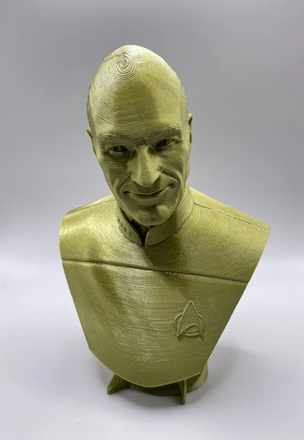PICARD BUST 3D Printed Figure In Paintable Plastic Filament 6.5 Inches ...