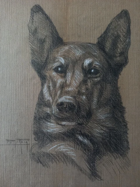 TABLEAU DESSIN ancien ** portrait chien ** sig a gauche P.roig - début ... TABLEAU DESSIN ancien ** portrait chien ** sig a gauche P.roig - début ...