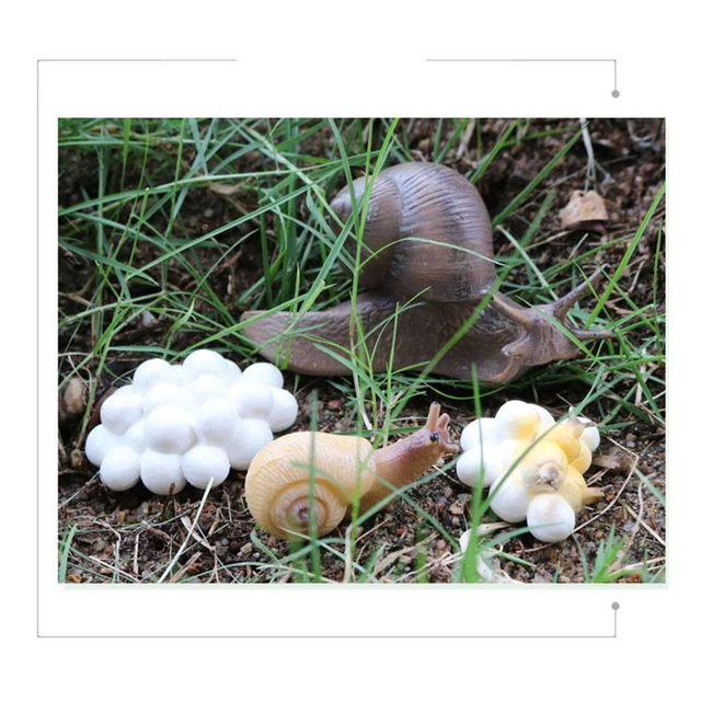 LIFE CYCLE ACTION Figures Playset Kids Learning Biology Toys £8.32 ...