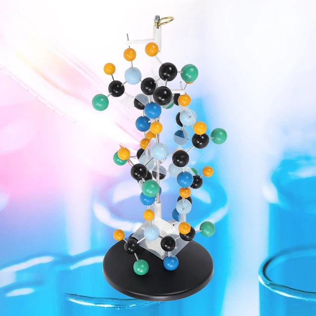 PROTEIN MOLECULAR MODEL Protein Molecular Model Plastic QH32122 ...