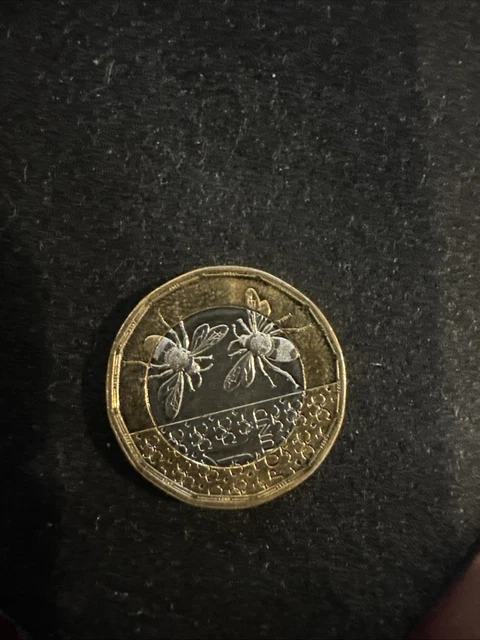 RARE ONE POUND Coin 2025 King Charles Bee £312.70 - PicClick UK