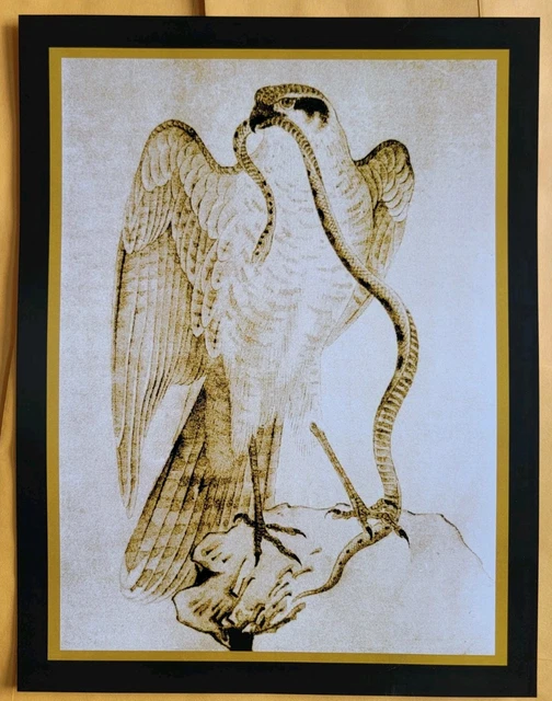 ANTIQUE 1890S HORICHIYO japanese tattoo irezumi tattoo flash hawk snake ...