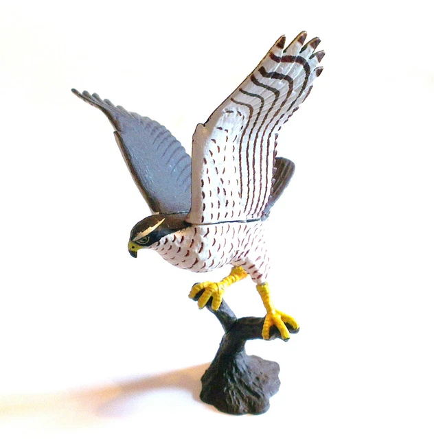 RARE KAIYODO FURUTA Northern Goshawk Secret SP Bird Figure £18.97 ...